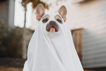 25+ Workplace Pet Peeves That Destroy Productivity (In-Office and ...