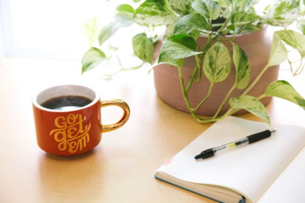 37 Fun Jobs (+ Where to Find Them) | Career Contessa