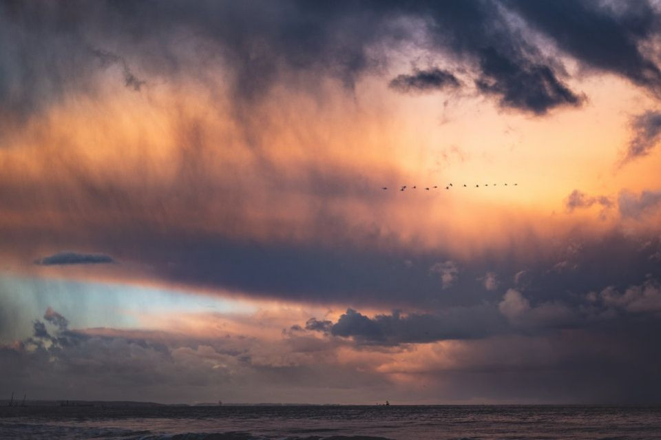 Life After Layoff: 40 Ideas to Motivate + Inspire During a Job Search ...