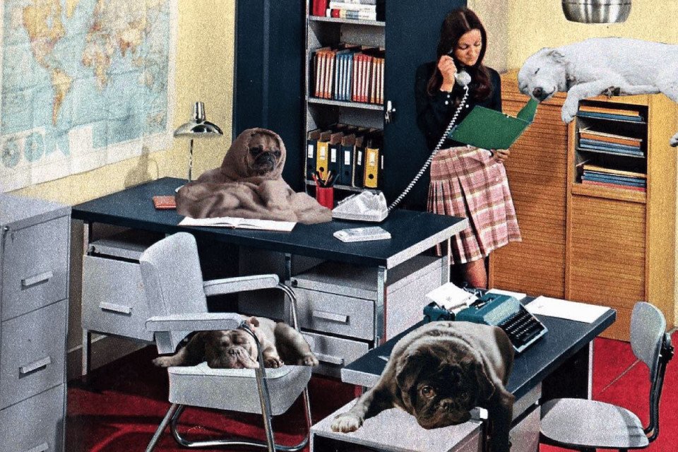 Bored at Work? 80+ Ways to Fight Boreout | Career Contessa