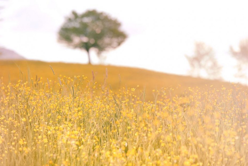 The 15 Outdoor Jobs You Can Get Today | Career Contessa